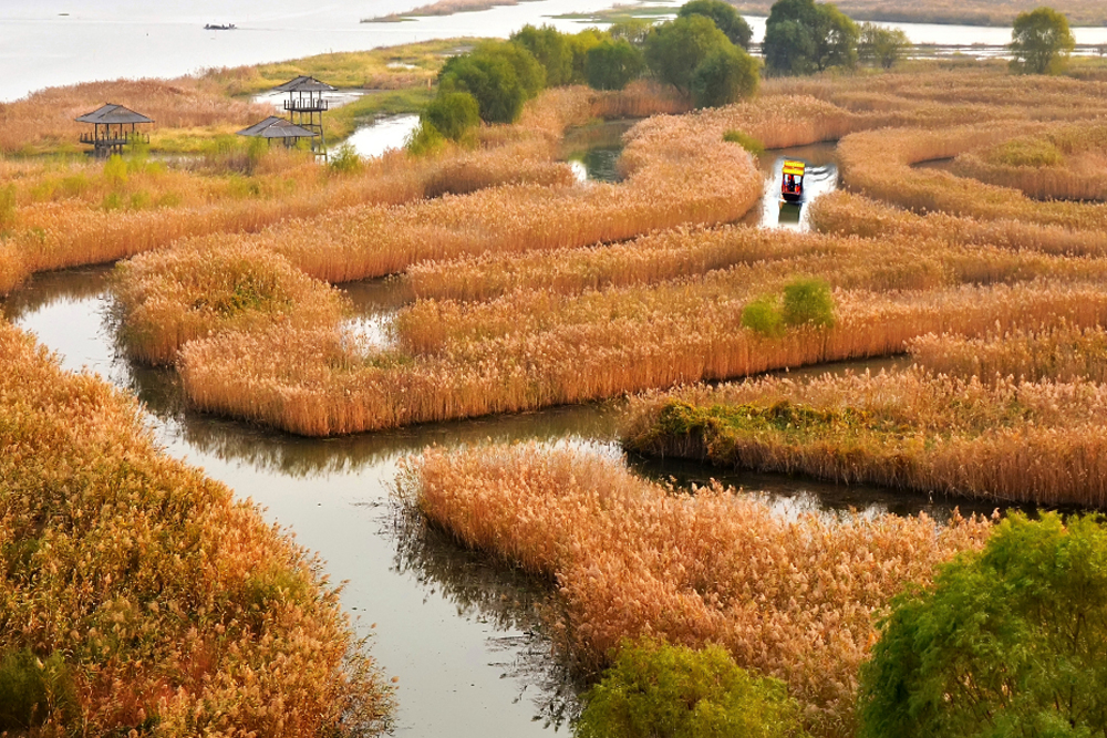 Yancheng - Explore Jiangsu