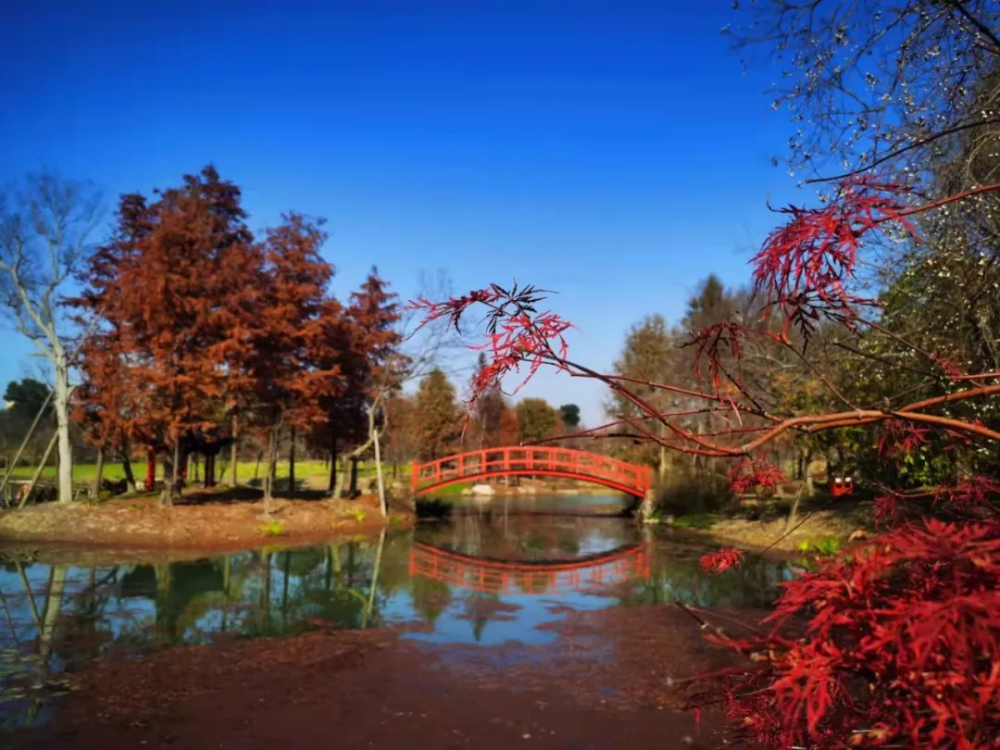 Great news! 3 attractions in Nanjing are now ranked as National 3A ...