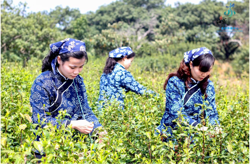 "Tea & Pot"Jiangsu Tea Culture and Yixing Purple Clay Pot Online ...