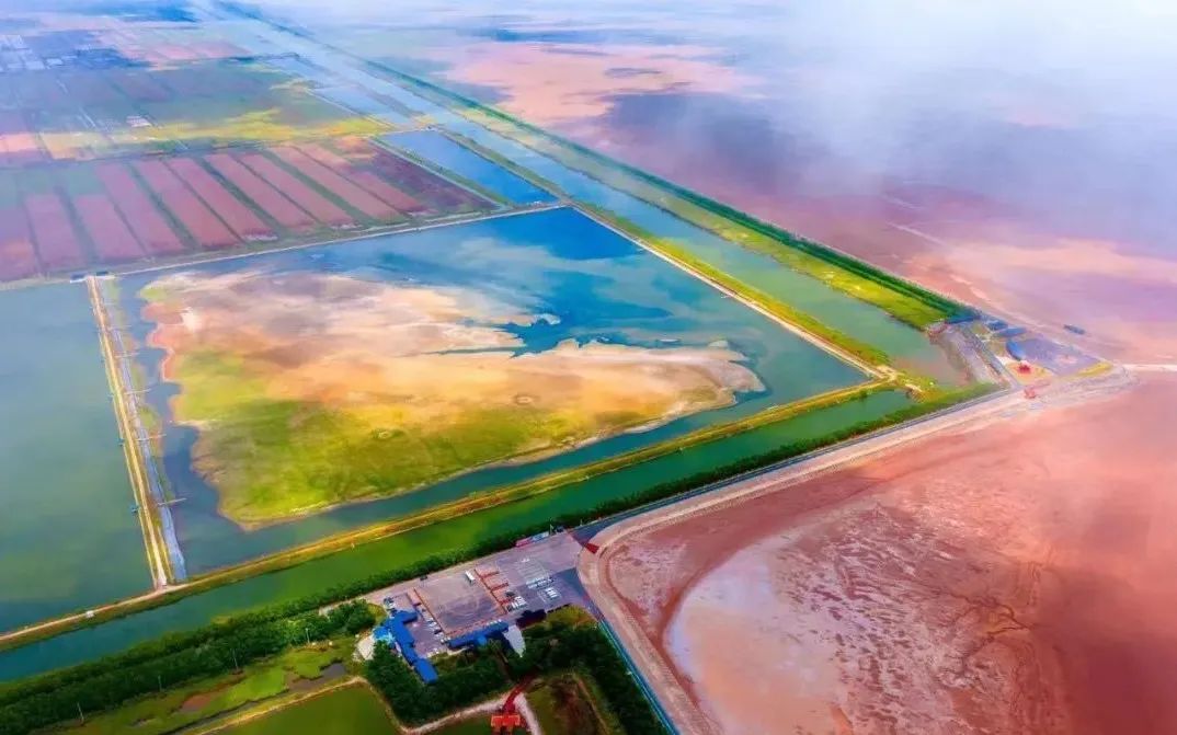 Yancheng’s Tiaozini Wetland - Explore Jiangsu