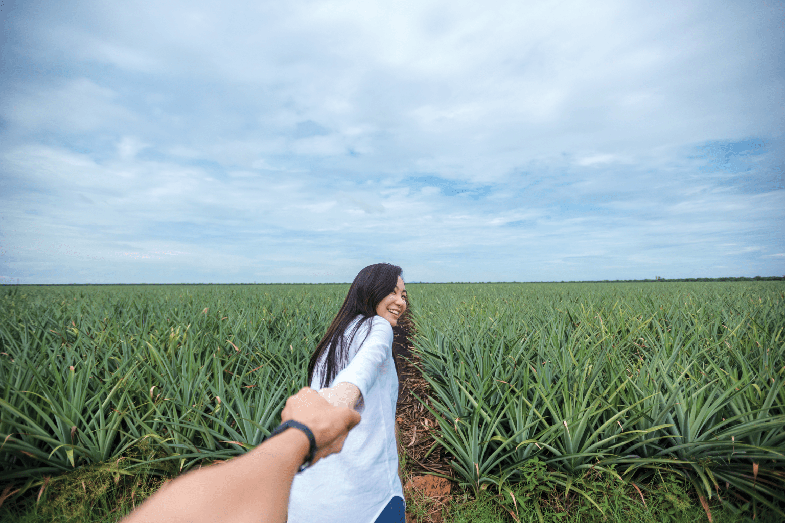 新邦令金：爱情像黄梨，酸酸甜甜的 - Travellution 畅游行