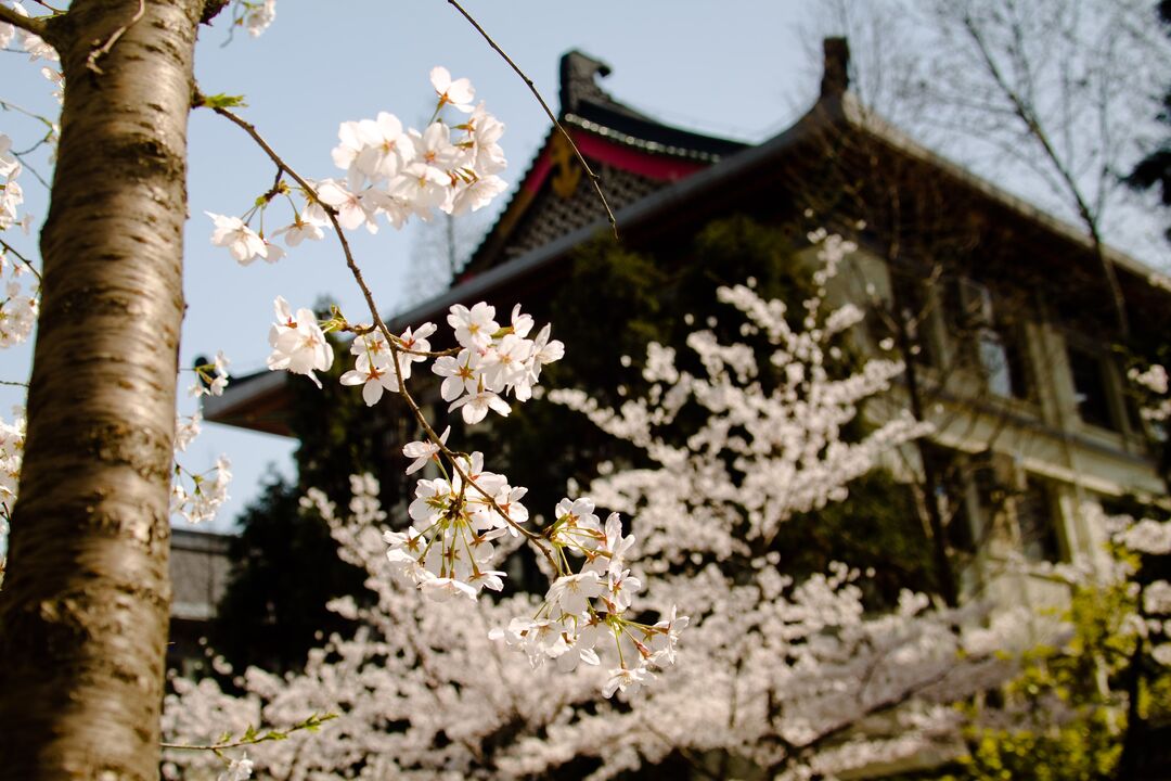 江苏 百大美景 - Page 2 of 4 - Travellution 畅游行